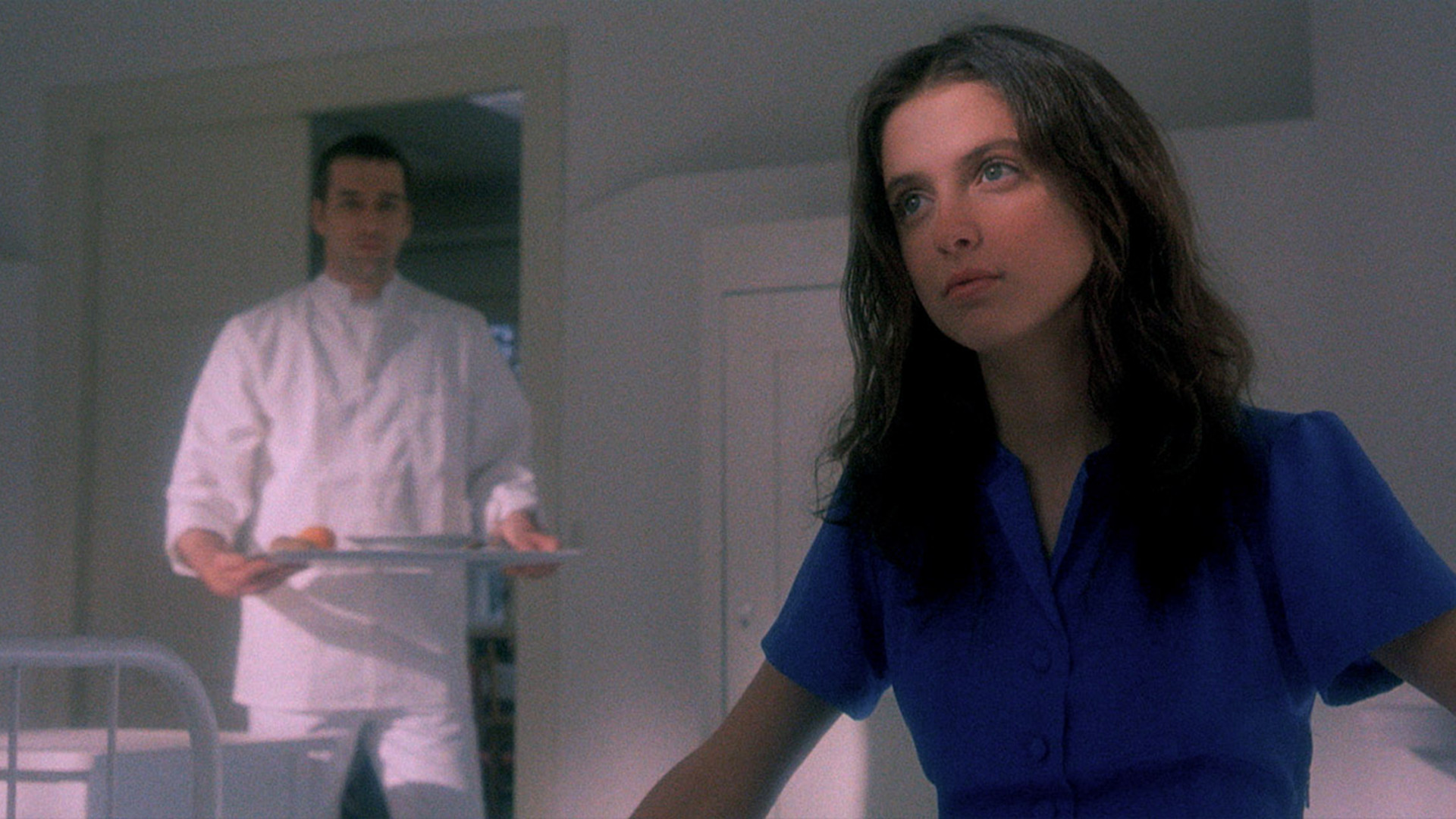 Dolphins (2000) - Plex